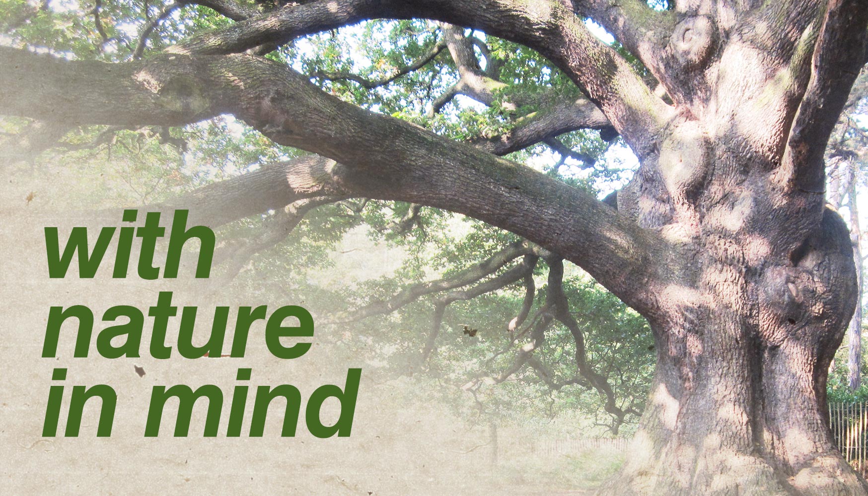 'with nature in mind' - exhibition explores how the natural world ...